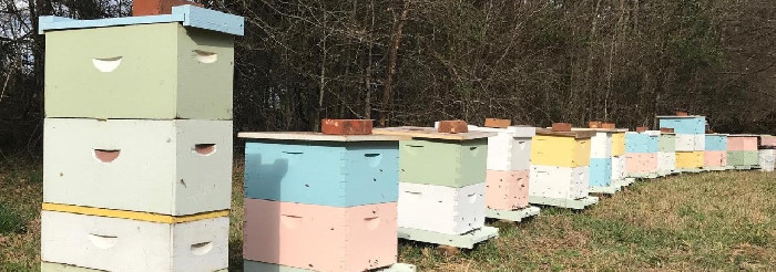 UGA Certified Beekeeper Testing :: https://www.cowetabeekeepers.org/